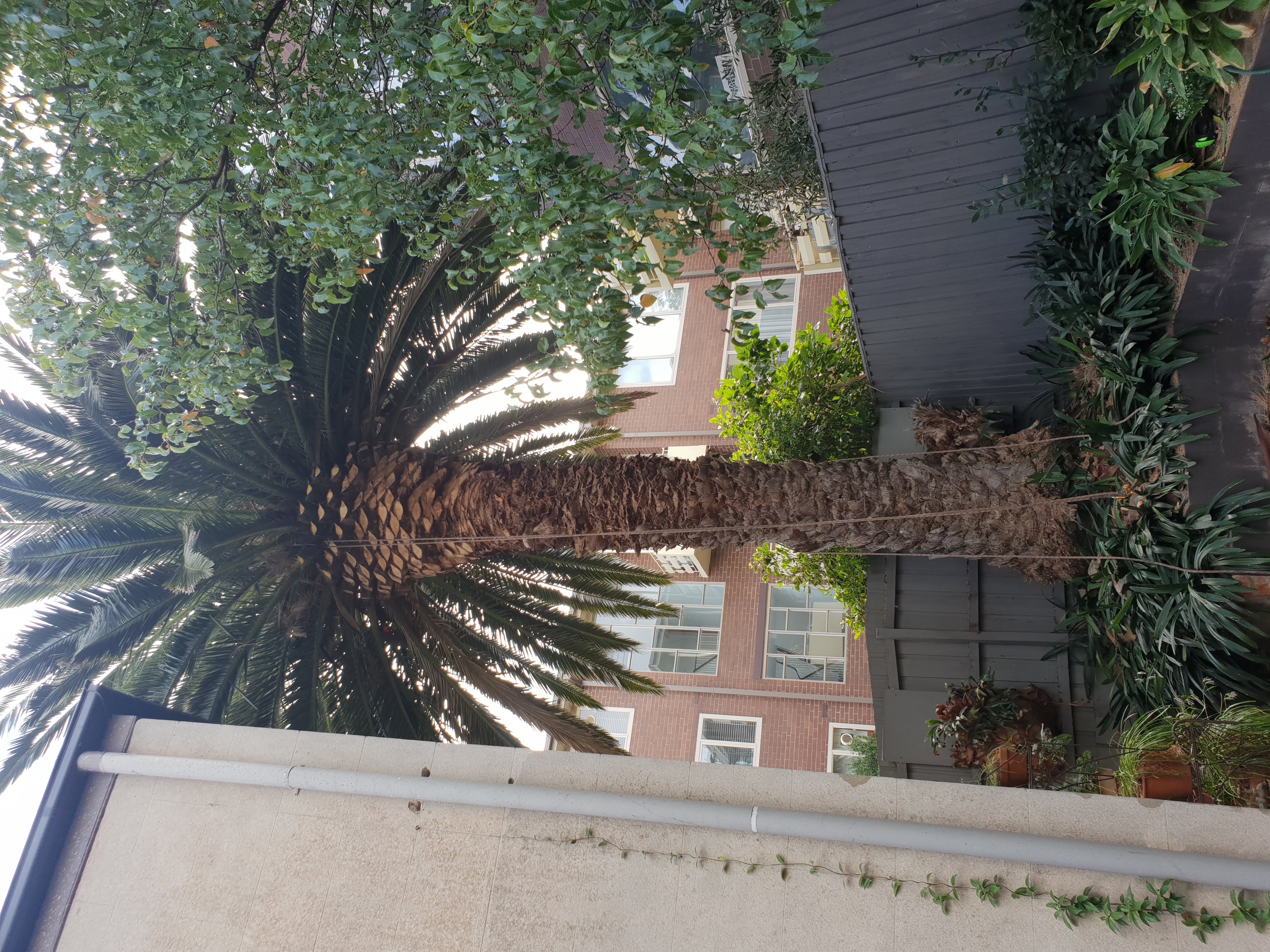 RAZOR BLADE TREE SPECIALISTS PTY LTD – Moorabbin VIC – 1 Review