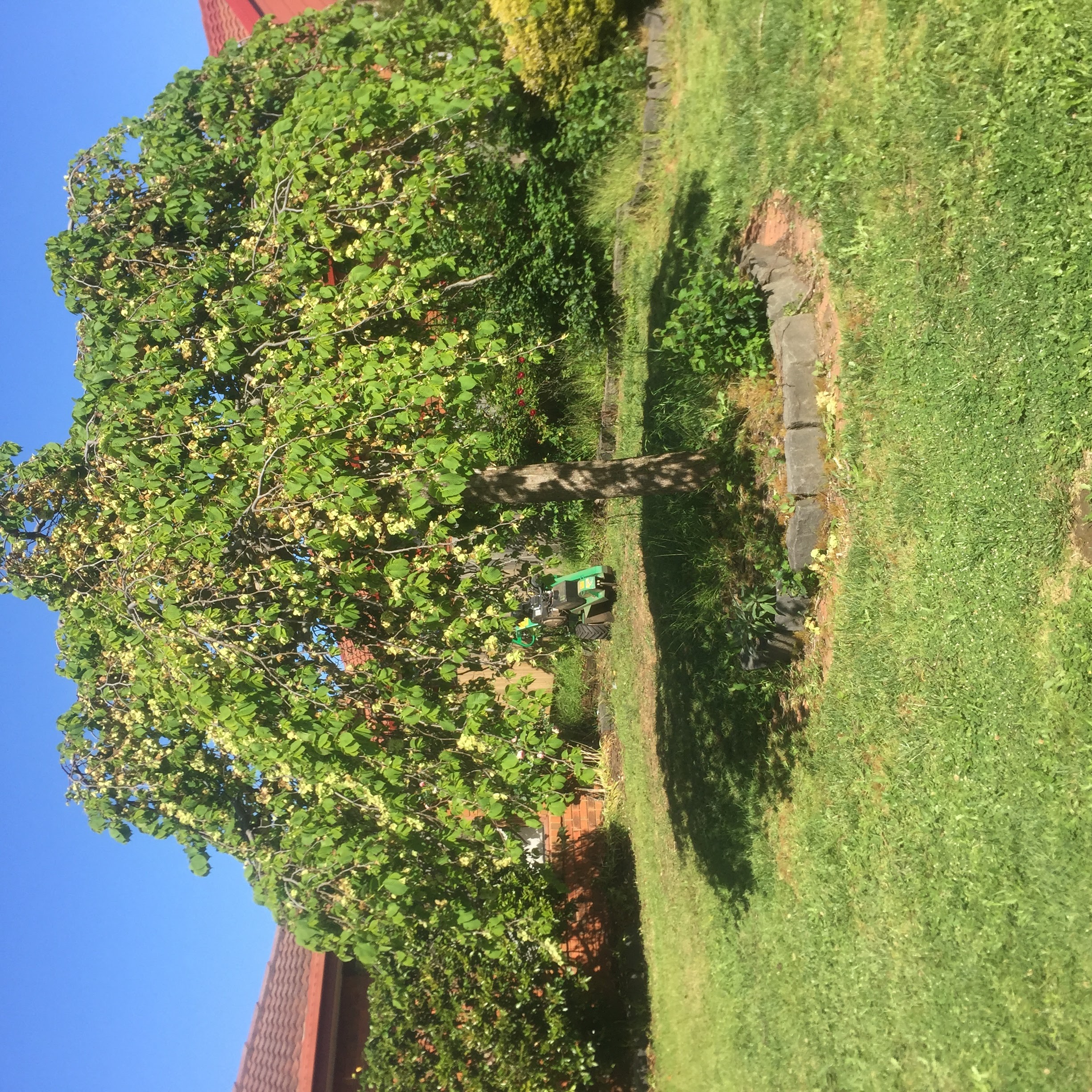 RAZOR BLADE TREE SPECIALISTS PTY LTD – Moorabbin VIC – 1 Review